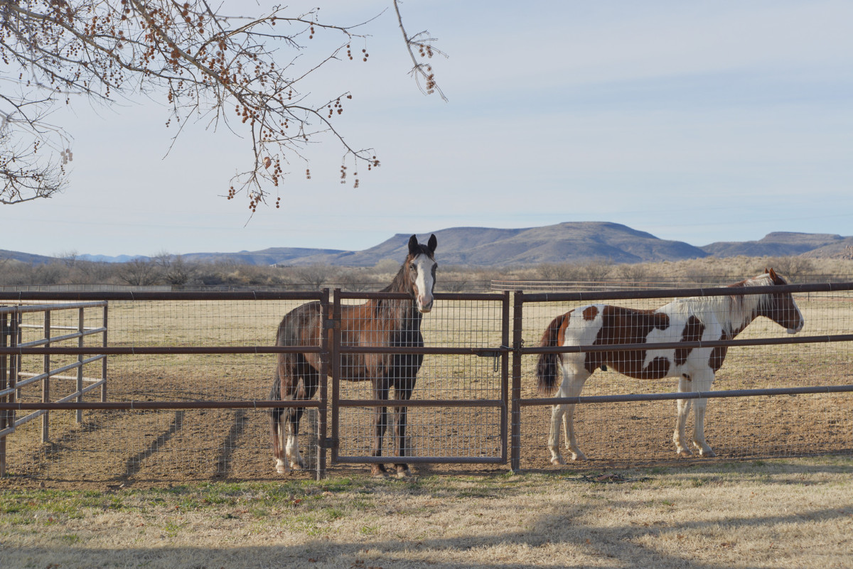 Image Gallery – Logan Fence & Stone